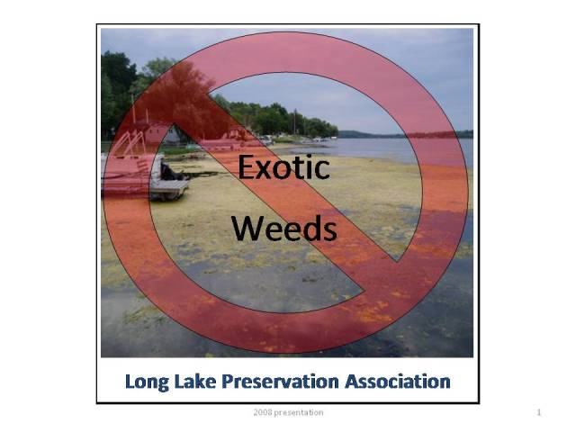 Long Lake Preservation Association -Long Lake and Tittle Lake - Fond Du ...